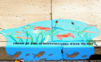 Storm Drain Art | Sustainable Stormwater Management